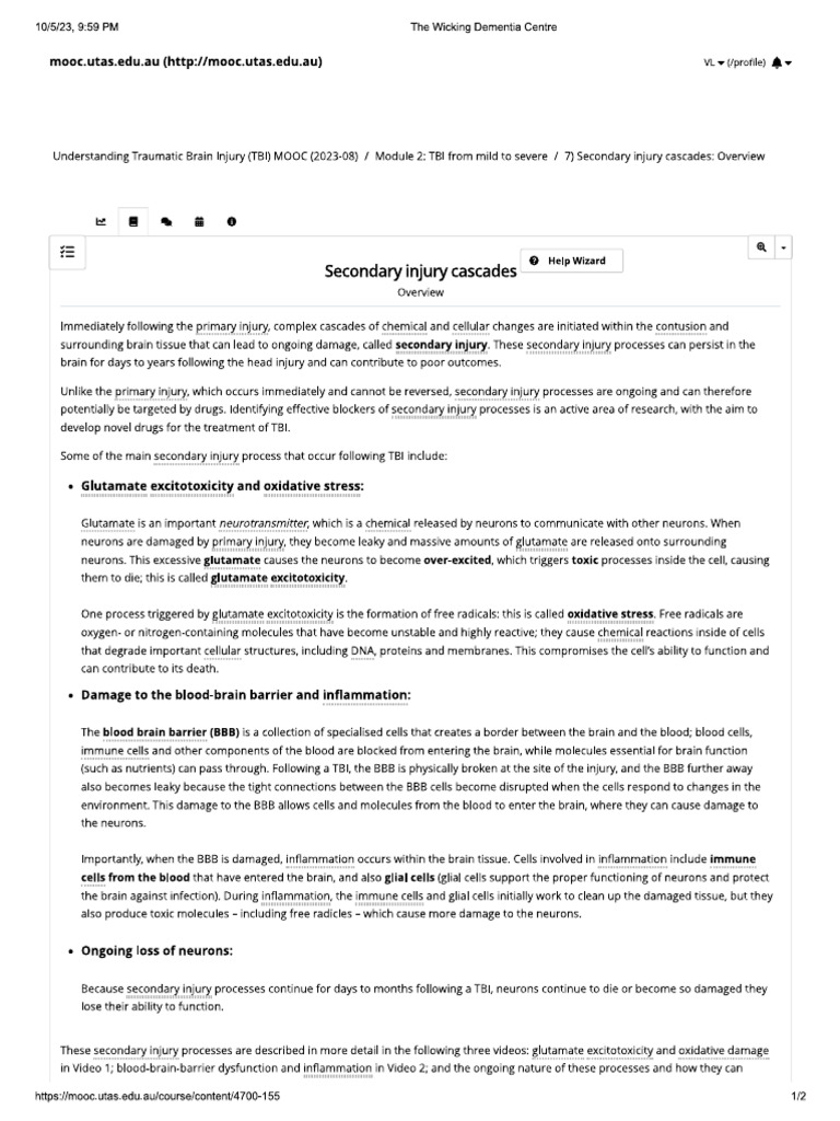Module 2 TBI | PDF