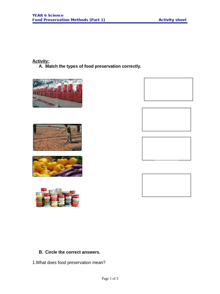 Year 6 Food Preservation Methods Activity | PDF