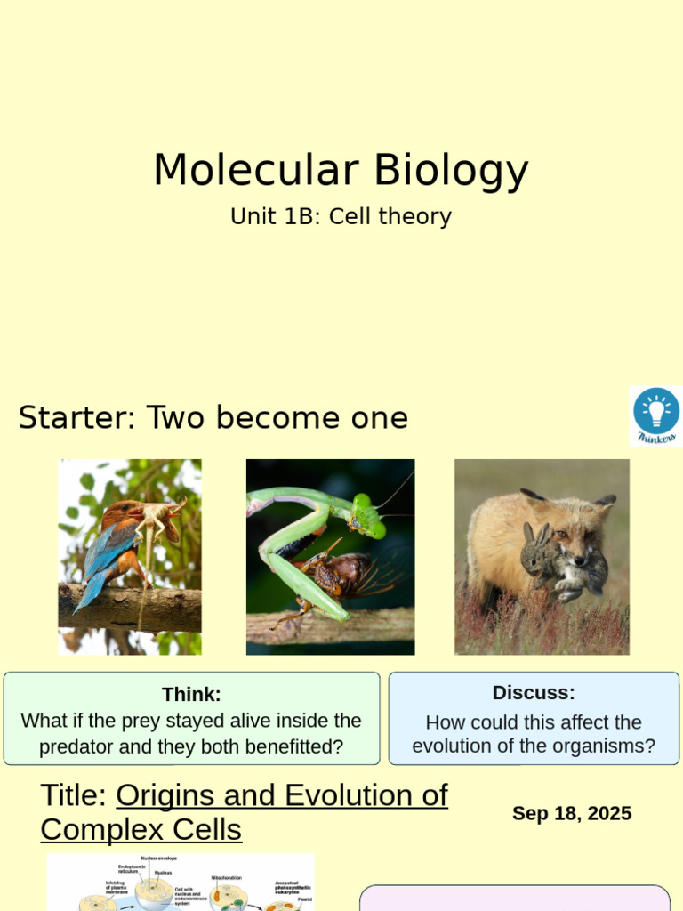 Endosymbiosis and Cell Evolution | PDF | Cell (Biology) | Evolution