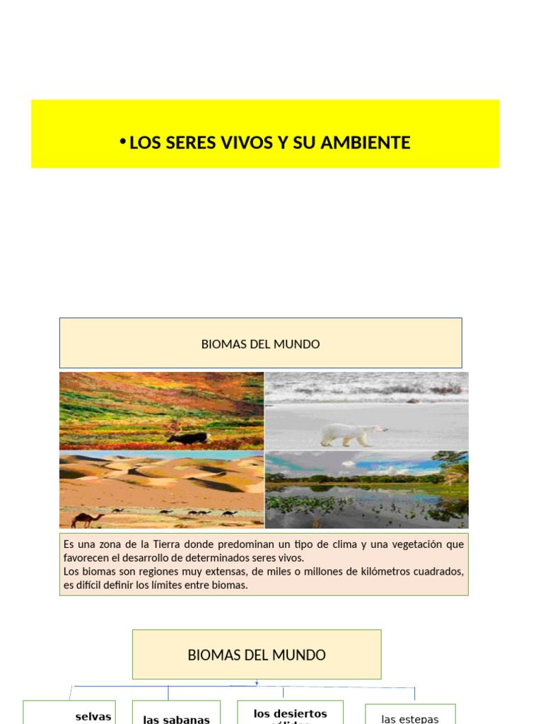 Los Biomas | PDF | Selva | Desierto