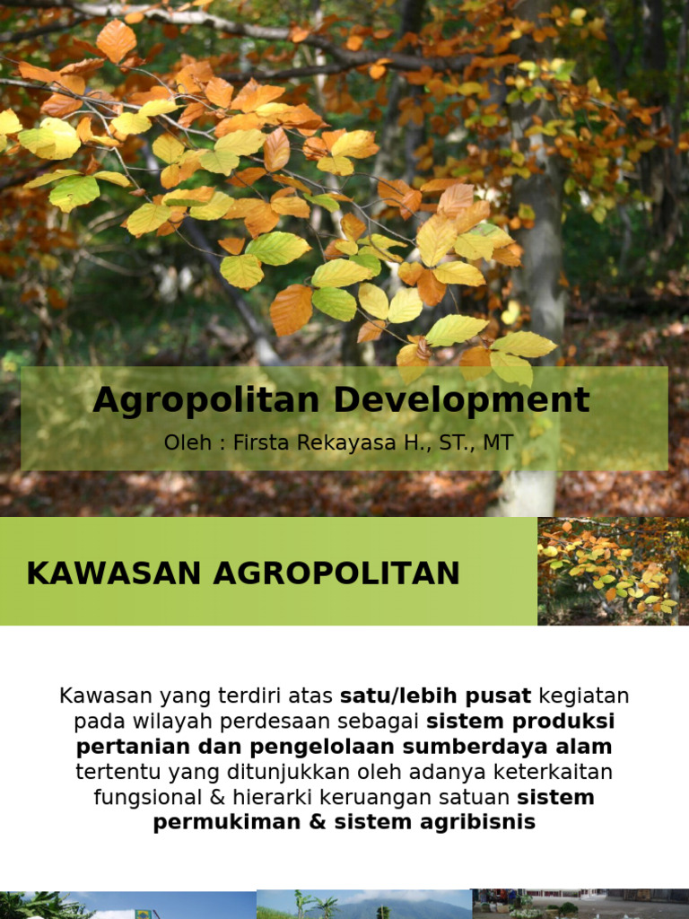 Strategi Pengembangan Agropolitan Efektif | PDF