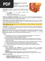 Signos Clínicos de Apendicitis Aguda | PDF | Gastroenterología