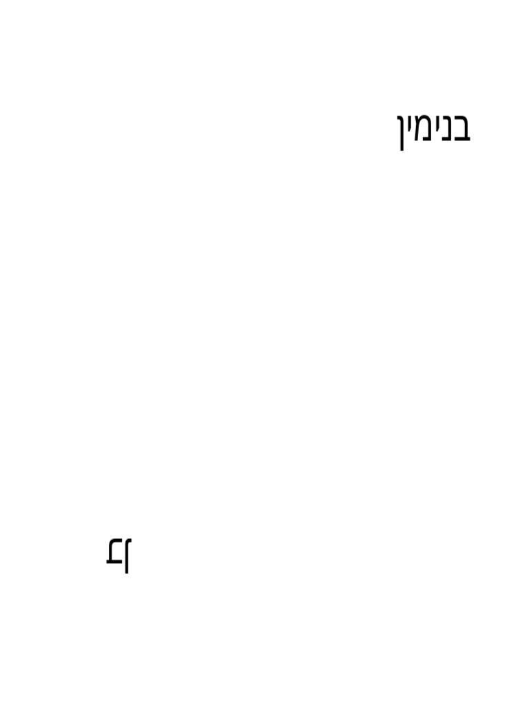 Hebrew Mirrored | PDF
