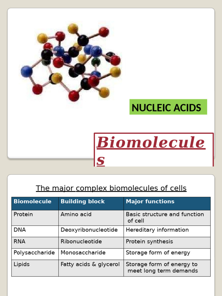 Overview of Biomolecules and Functions | PDF