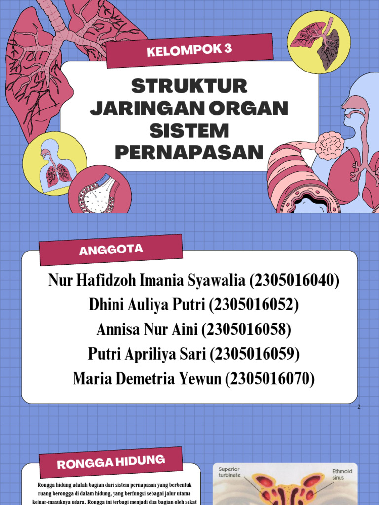 Histologi Termin 2 Kel 3 | PDF