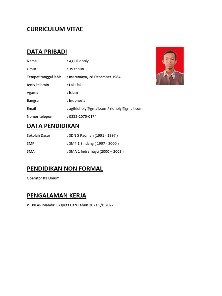 CV Agil Ridholy: Pendidikan & Pengalaman | PDF