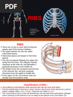 Costovertebral Angle Anatomy Overview | PDF | Vertebra | Vertebral Column