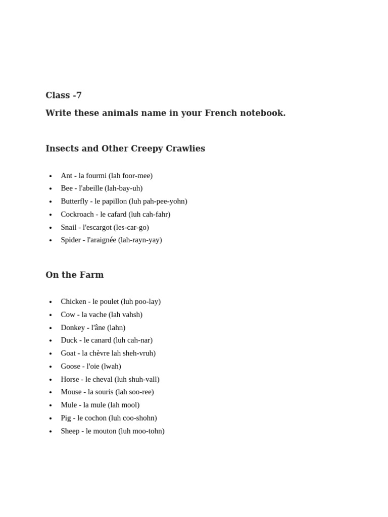 French Holiday Homework, Class-7 | PDF
