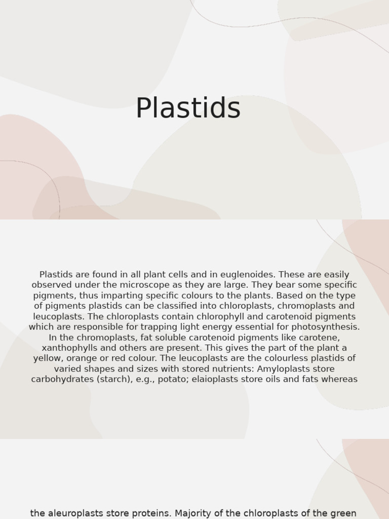 Minimalist Korean Aesthetic Pitch Deck - by Slidesgo | PDF