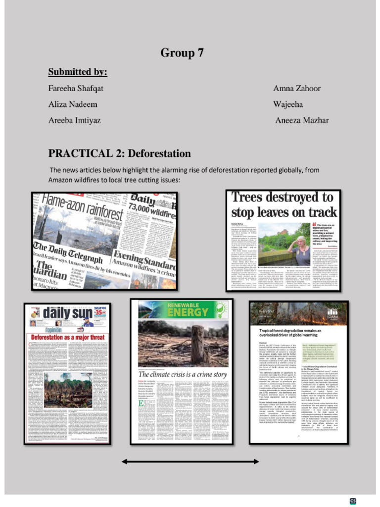 Deforestation Pdf