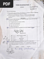 Topper Handwritten Notes for Class 10 SST | PDF | Balkans