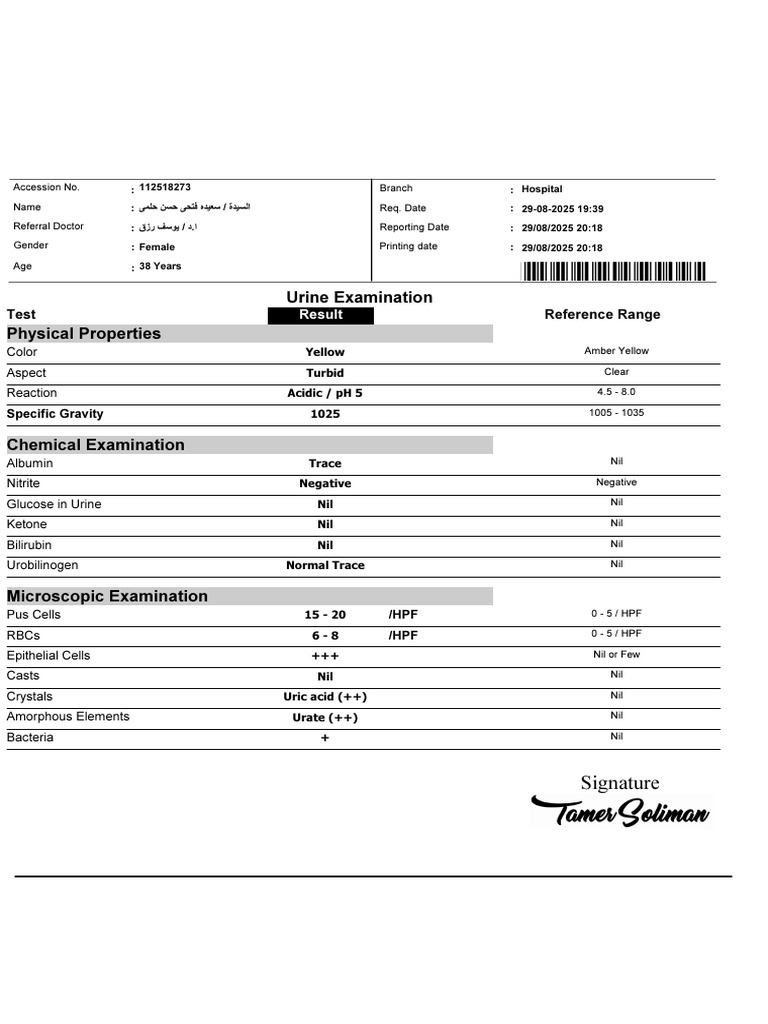 2244 - 203176 - 3 - 11000000126264 - 290825201837 - Urine Examination | PDF