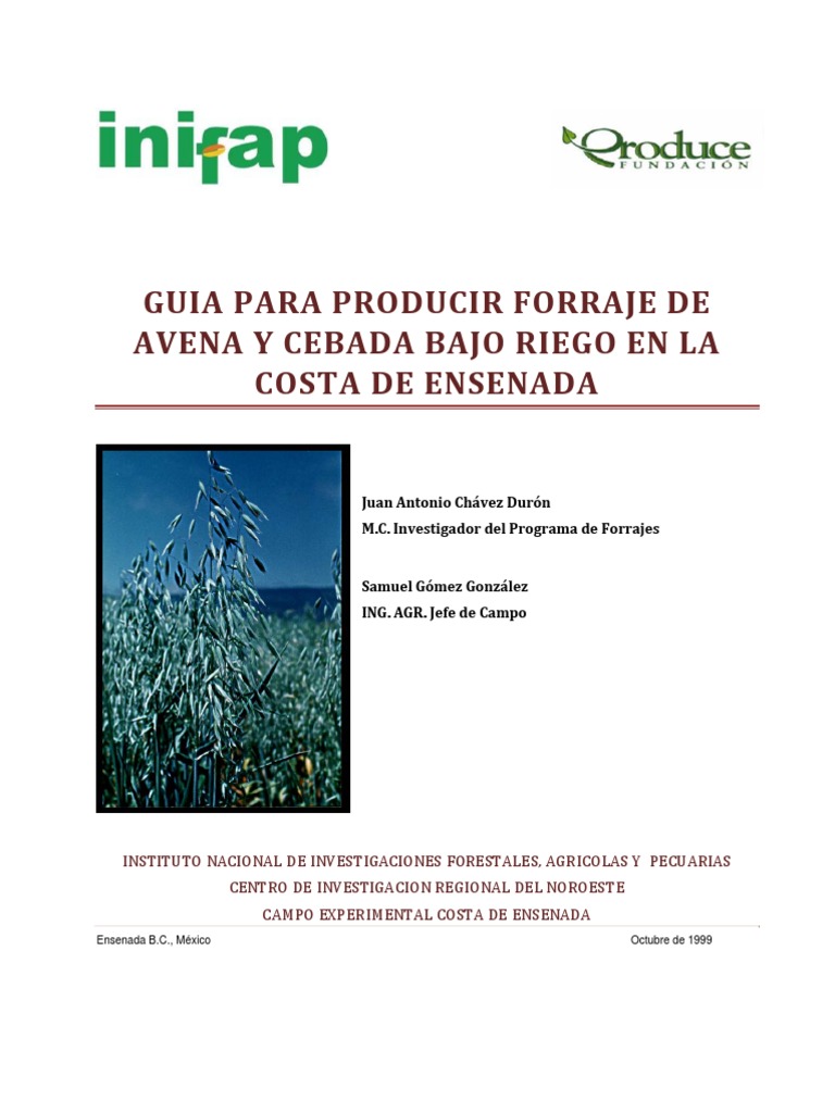 Guia para Producir Forraje de Avena y Cebada Bajo Riego | PDF | Siembra | Suelo