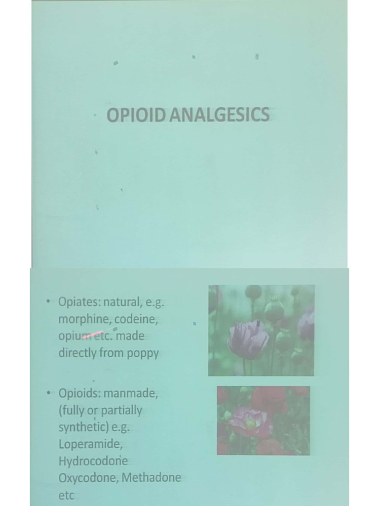 Opiods | PDF