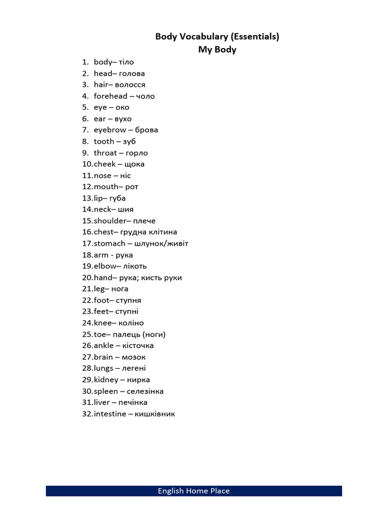 My Body Vocabulary | PDF