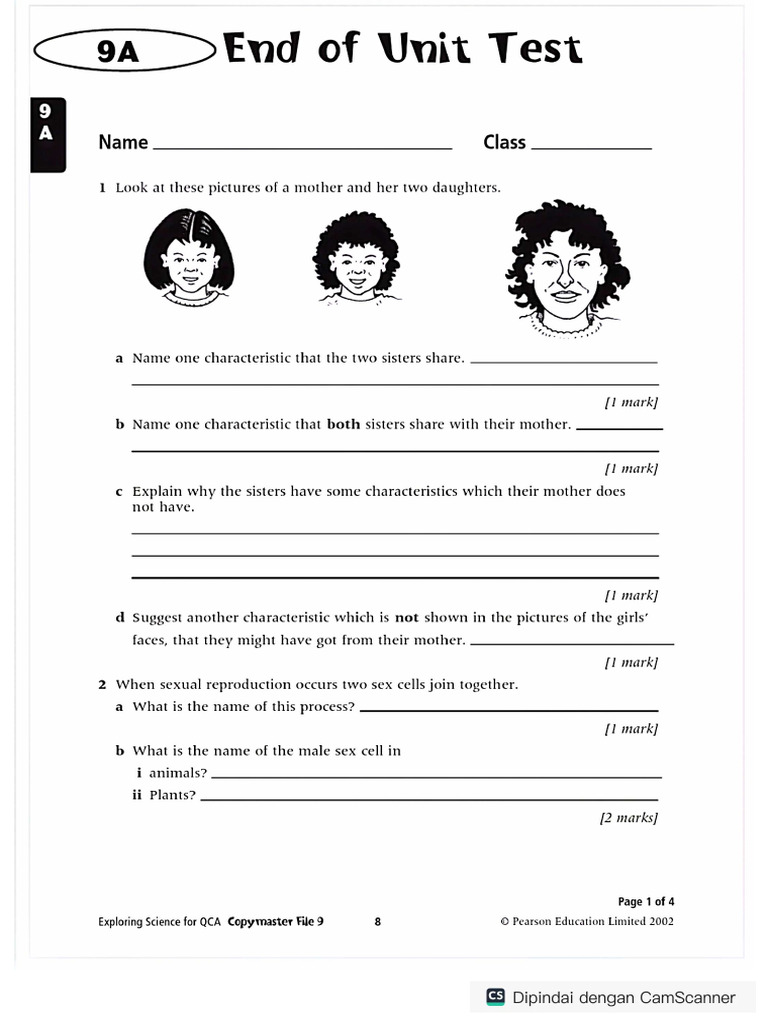 9A End of Unit Test | PDF
