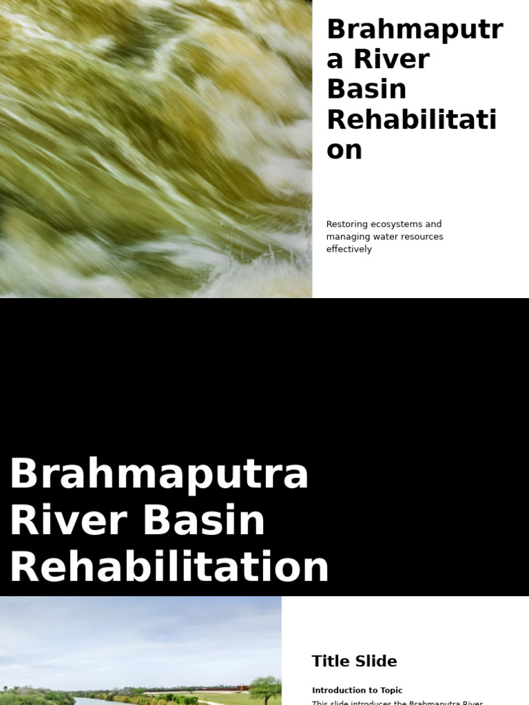 Brahmaputra River Basin Rehabilitation | PDF | River | Natural Environment