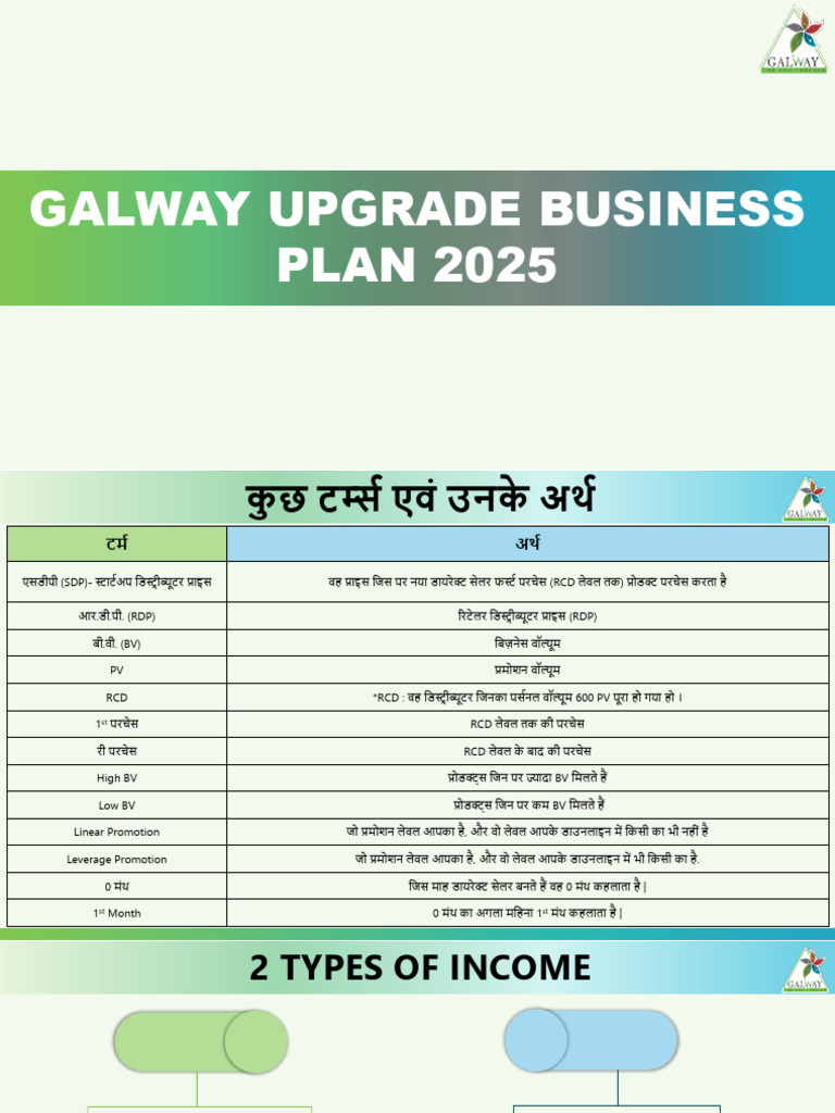 Galway Business Plan 2025 - 12aug2025 | PDF