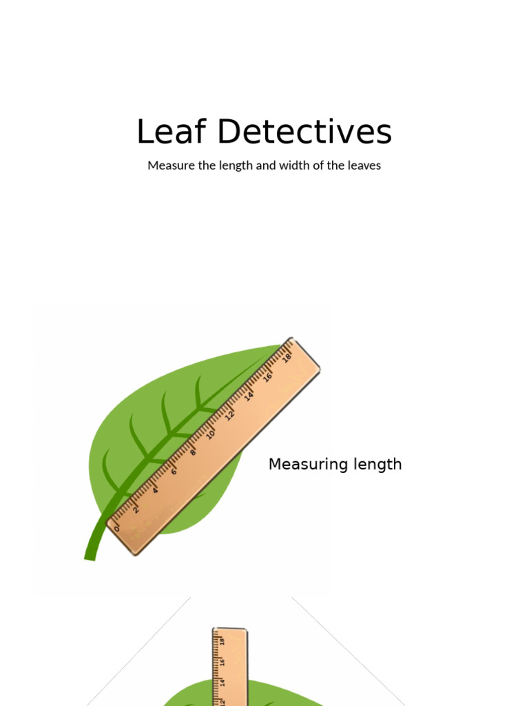 Science 3 Sept. 2 | PDF