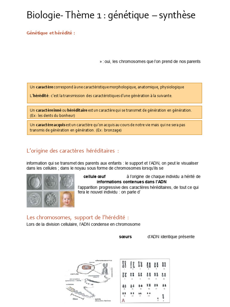 Comprendre la génétique et l'hérédité | PDF | Dominance (Génétique ...
