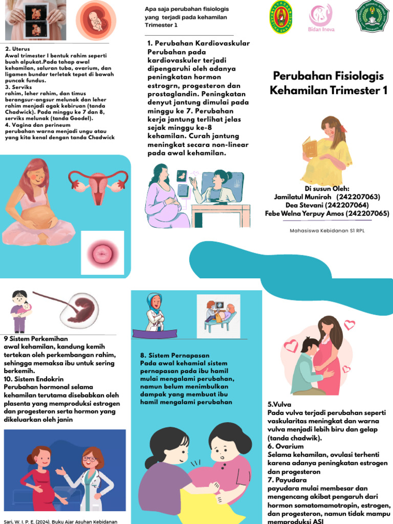 Leaflet Perubahan Fisiologis TM 1 | PDF