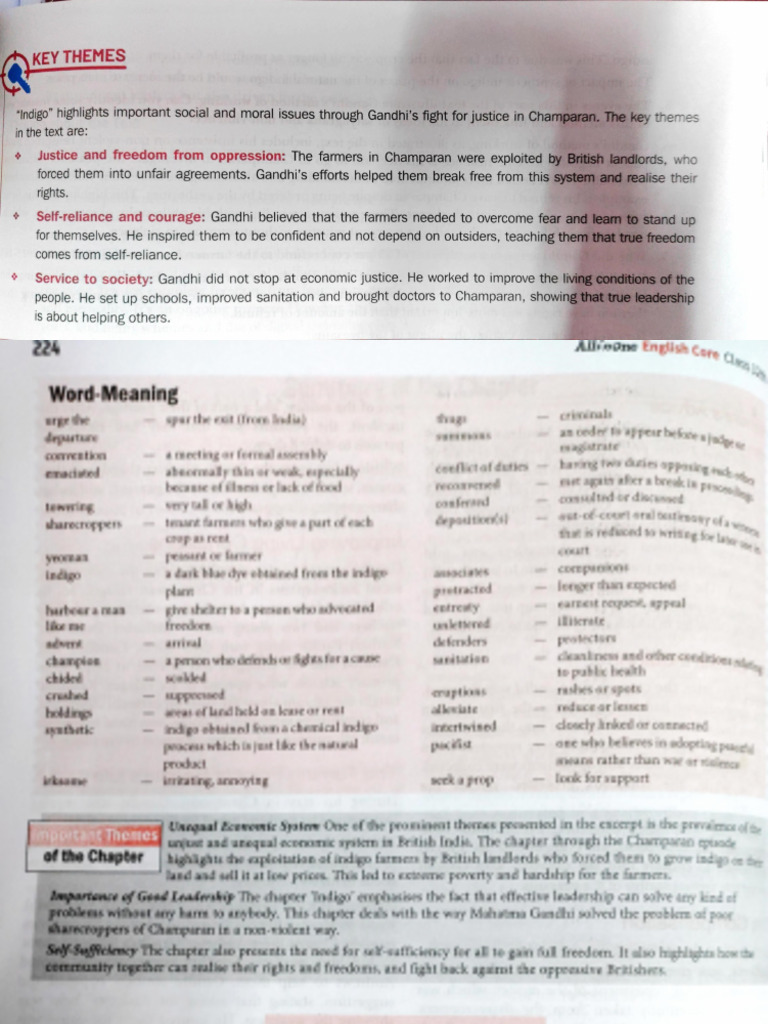 Indigo | PDF | Mahatma Gandhi