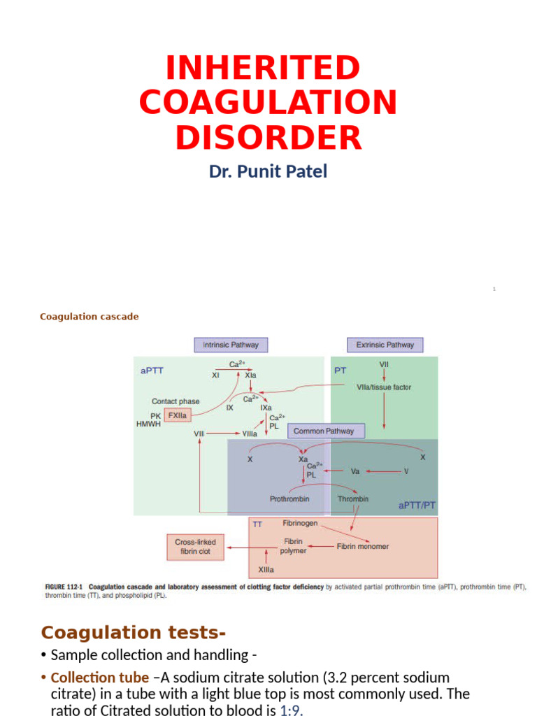 Inherited Coagulation Disorder | PDF | Coagulation | Haemophilia
