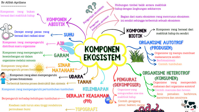 Mind Map Ekosistem Kelas 10 | PDF