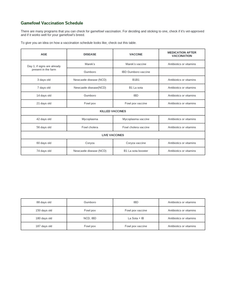 Gamefowl Vaccination Schedule Guide | PDF