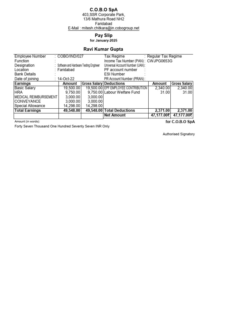Pay Slip Jan | PDF