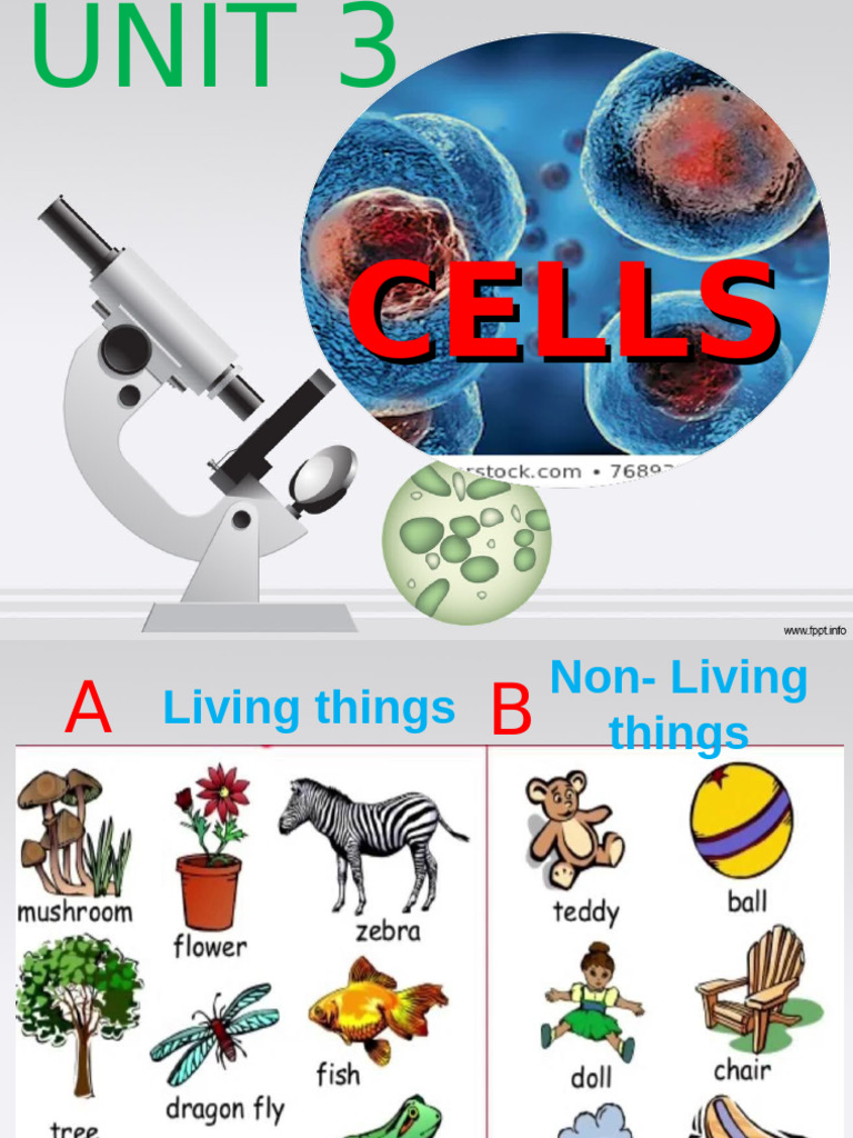 Unit 3 - Cells (P4) | PDF