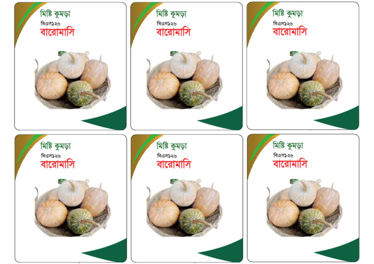 Pumpkin Baromasi | PDF