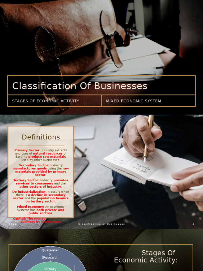 Chapter 2-Classification of Businesses | PDF | Tertiary Sector Of The ...