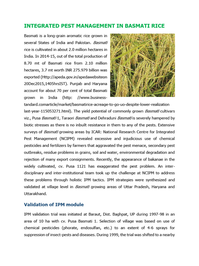 Integrated Pest Management for Basmati Rice | PDF | Rice | Agronomy