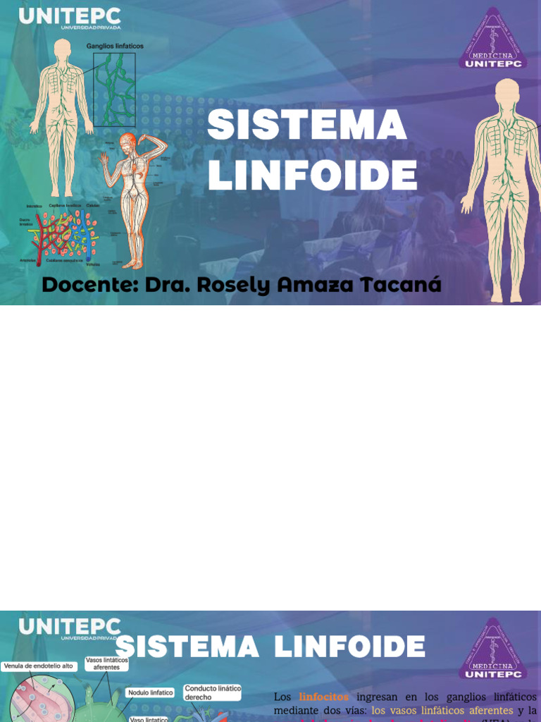 Sistema Linfoide | PDF | Célula T | Linfocitos