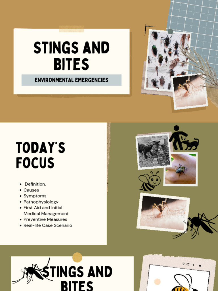 Stings and Bites: First Aid Guide | PDF | Venom | Medical Specialties