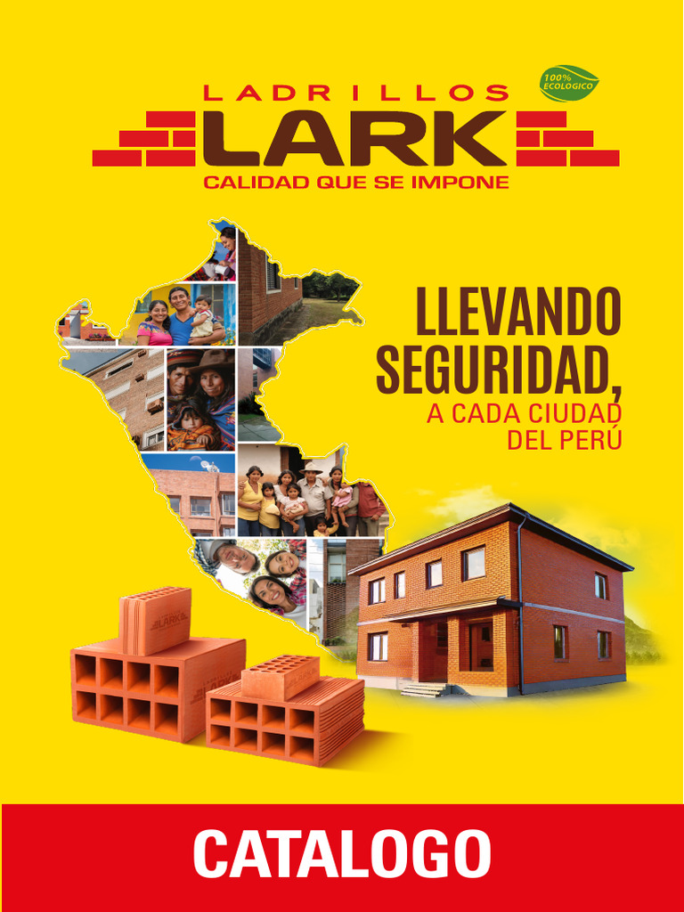 VOLANTE 2025 (1) (2) (1) (1) | PDF | Ladrillo | Ingeniero civil