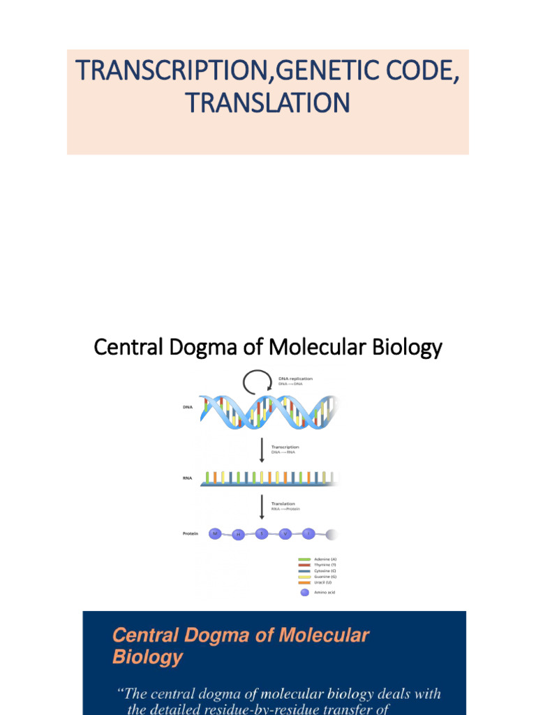 Transcription, Genetic Code,Translation | PDF