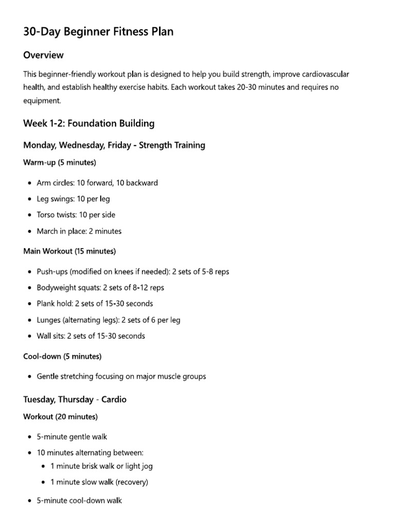 Fit Plan | PDF