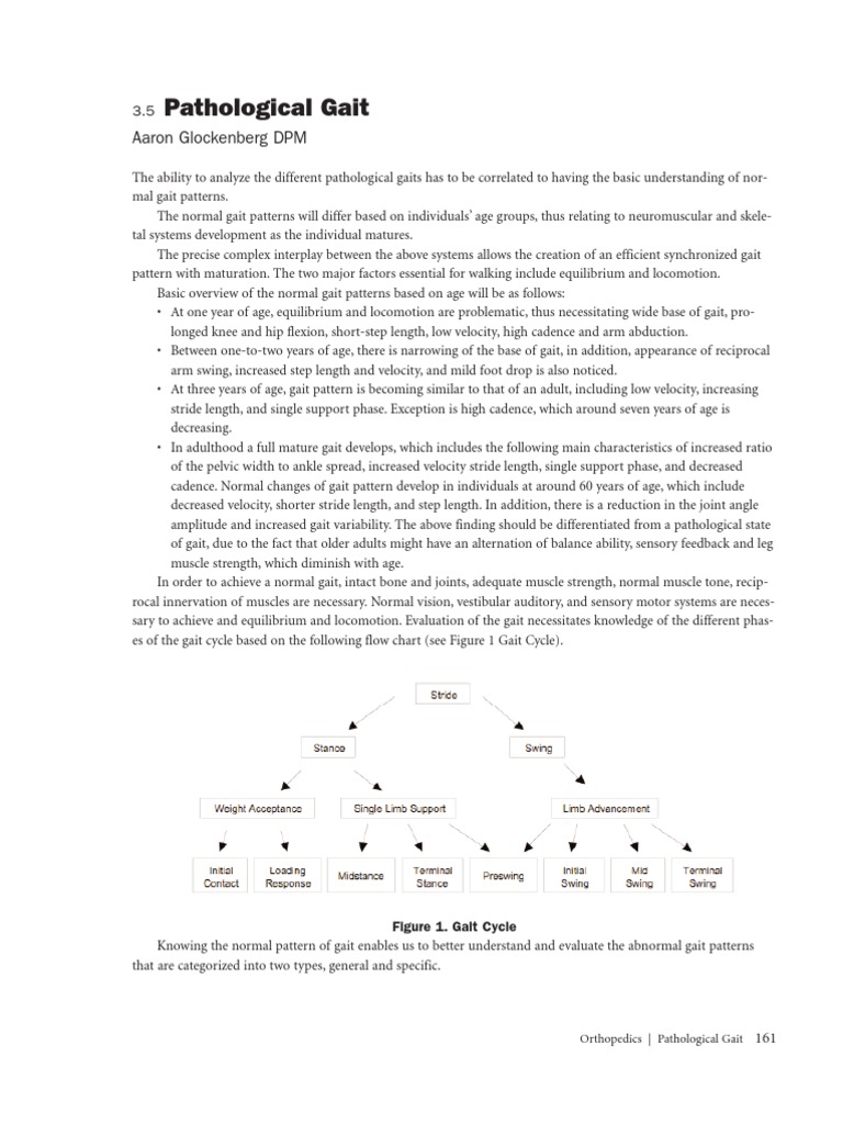 Understanding Pathological Gait Patterns | PDF | Cerebellum | Neurology