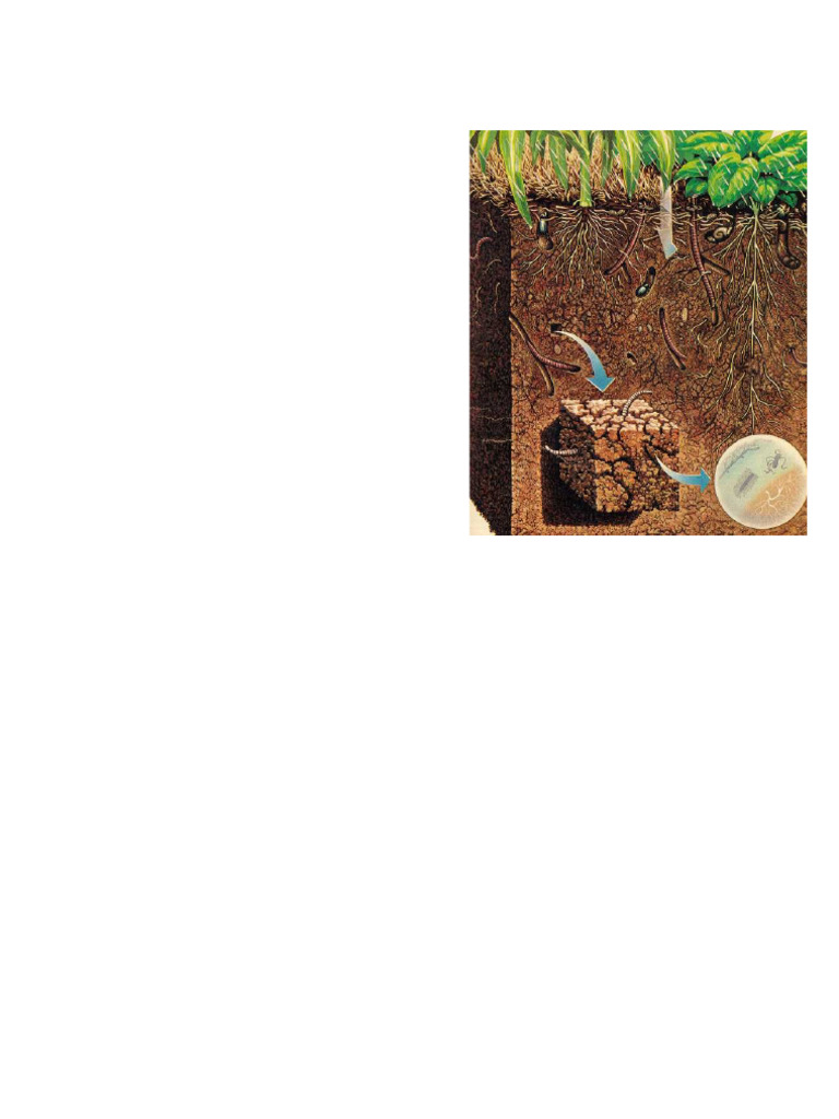 Aulas 1 e 2 - Chuva Efetiva - Horton | PDF | Solo | Umidade