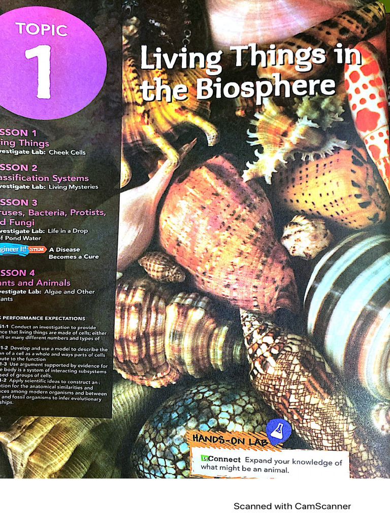 Grade 7 Living Things | PDF