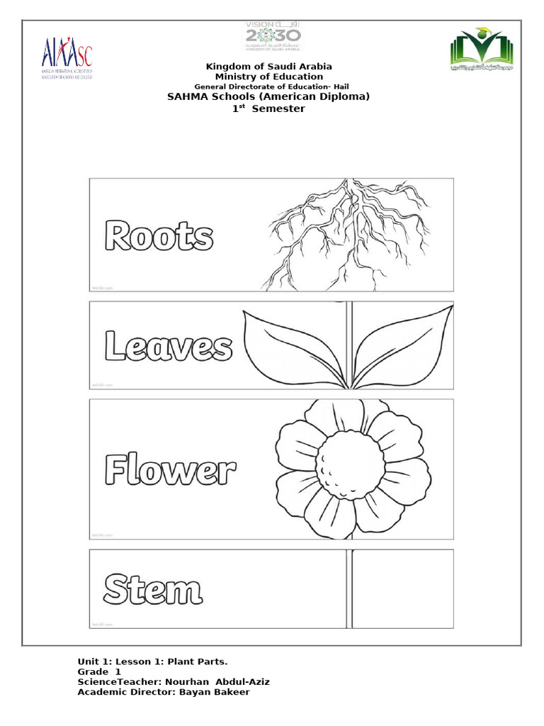 Unit 1 Lesson 1 Plant Parts | PDF