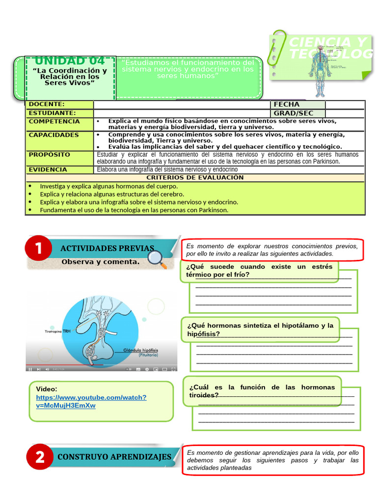 FICHA DE ACTIVIDAD CYT 4°SES4- SEMANA 2 (2) | PDF | Sistema nervioso | Sistema nervioso central