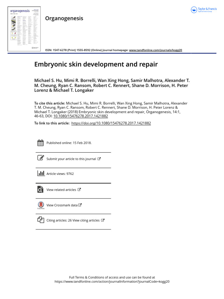 Embryonic skin development and repair | PDF | Epidermis | Wound Healing