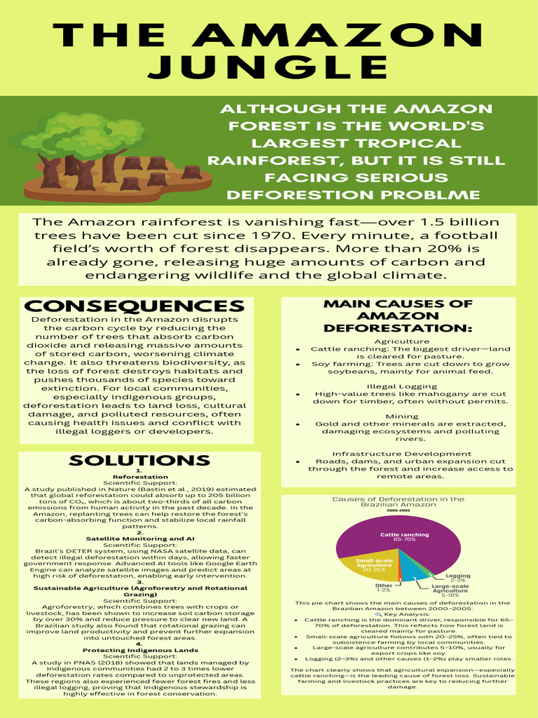 The Amazon Forest Deforestation Lily | PDF | Deforestation | Amazon ...