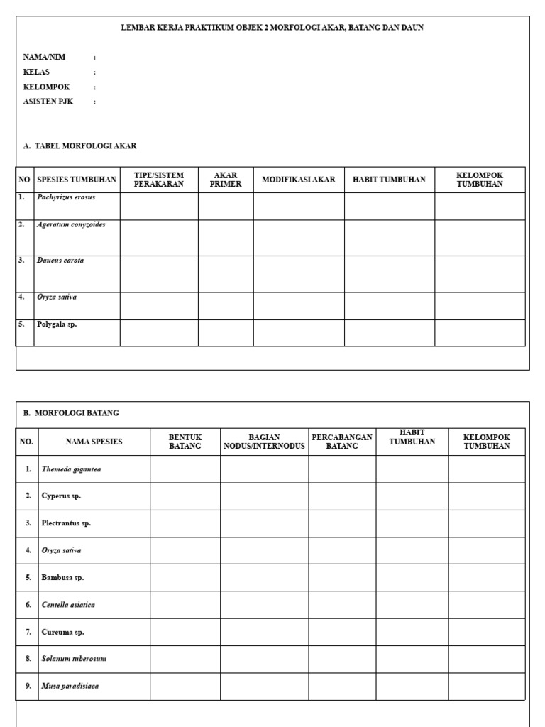Lembar Kerja Praktikum Objek 2 Morfologi Akar, Batang Dan Daun | PDF