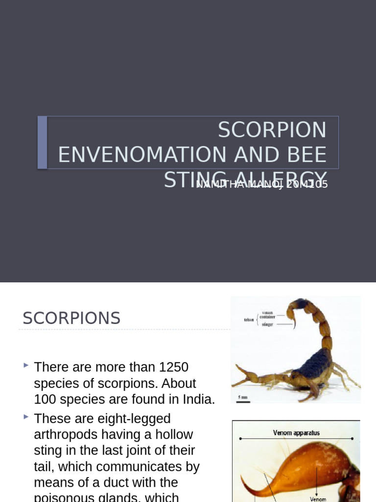 Scorpion Envenomation and Bee Sting Allergy | PDF | Medical Specialties