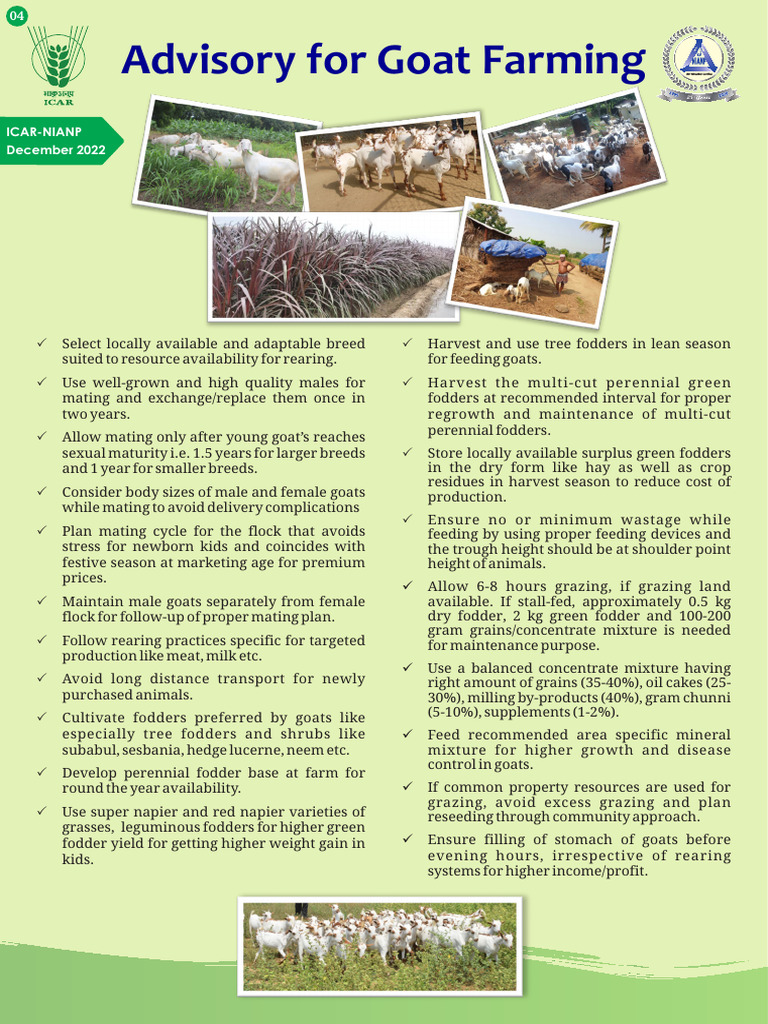 Goat Farming Best Practices Guide | PDF | Goat | Milk