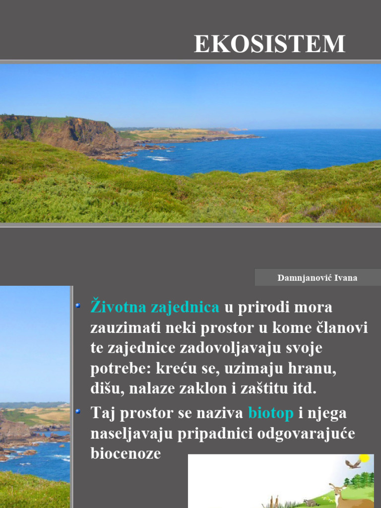 Ekosistem 151013201710 Lva1 App6892 | PDF